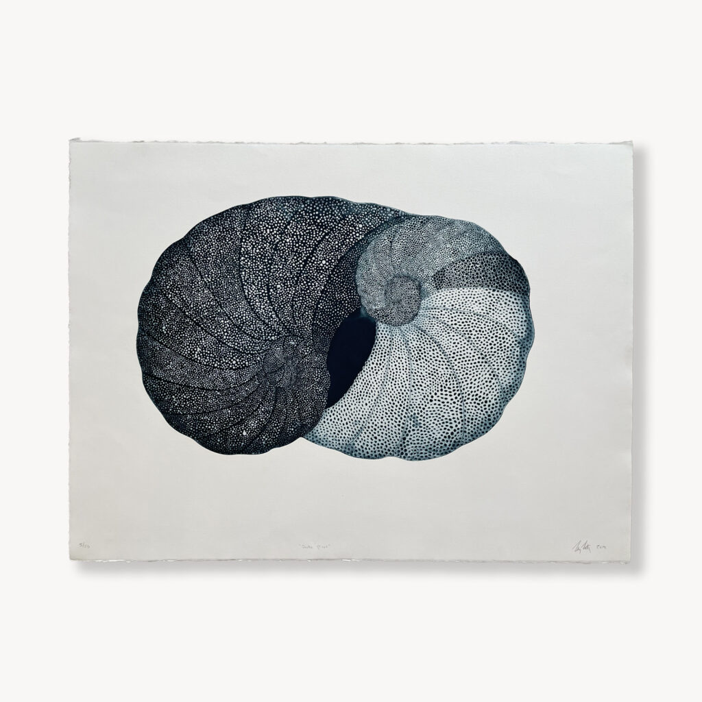 Soft Shadows 3 | Seattle Art Source | Buy Art Online